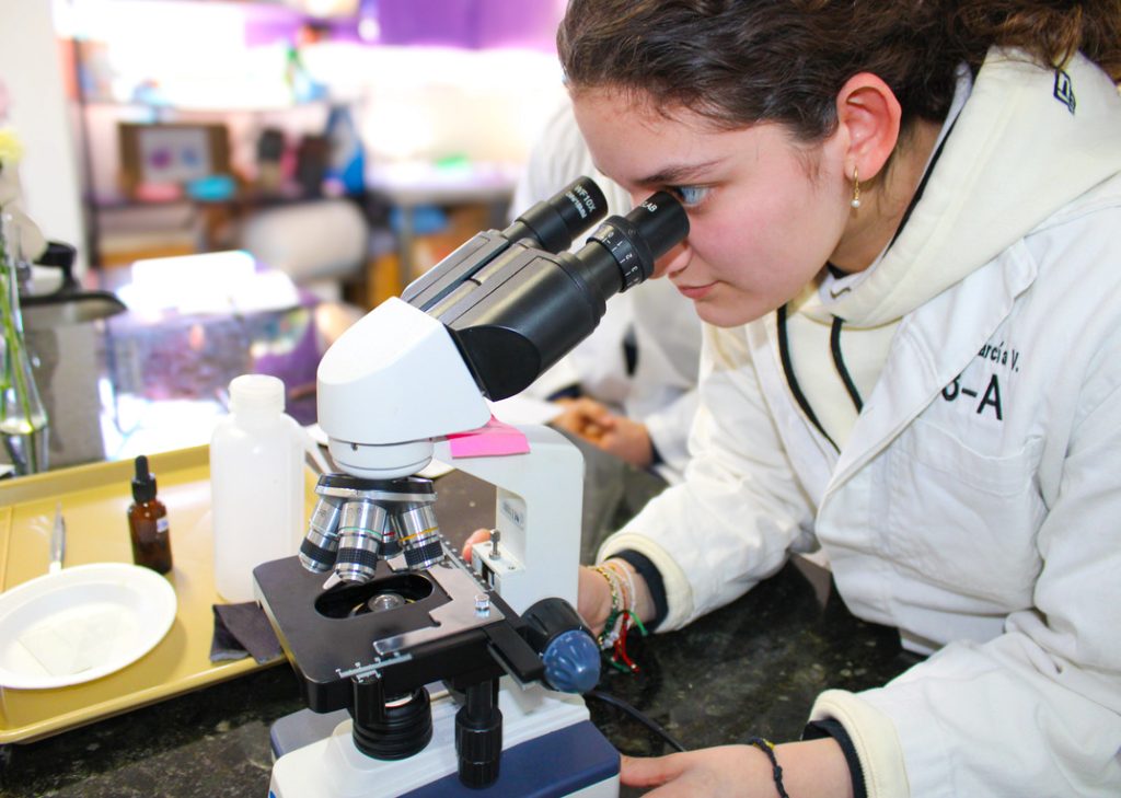 Bachillerato – CASC